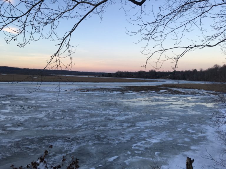 FREE Guided Tour: Discover Jug Bay Wetlands Sanctuary - JugBay Wetlands ...