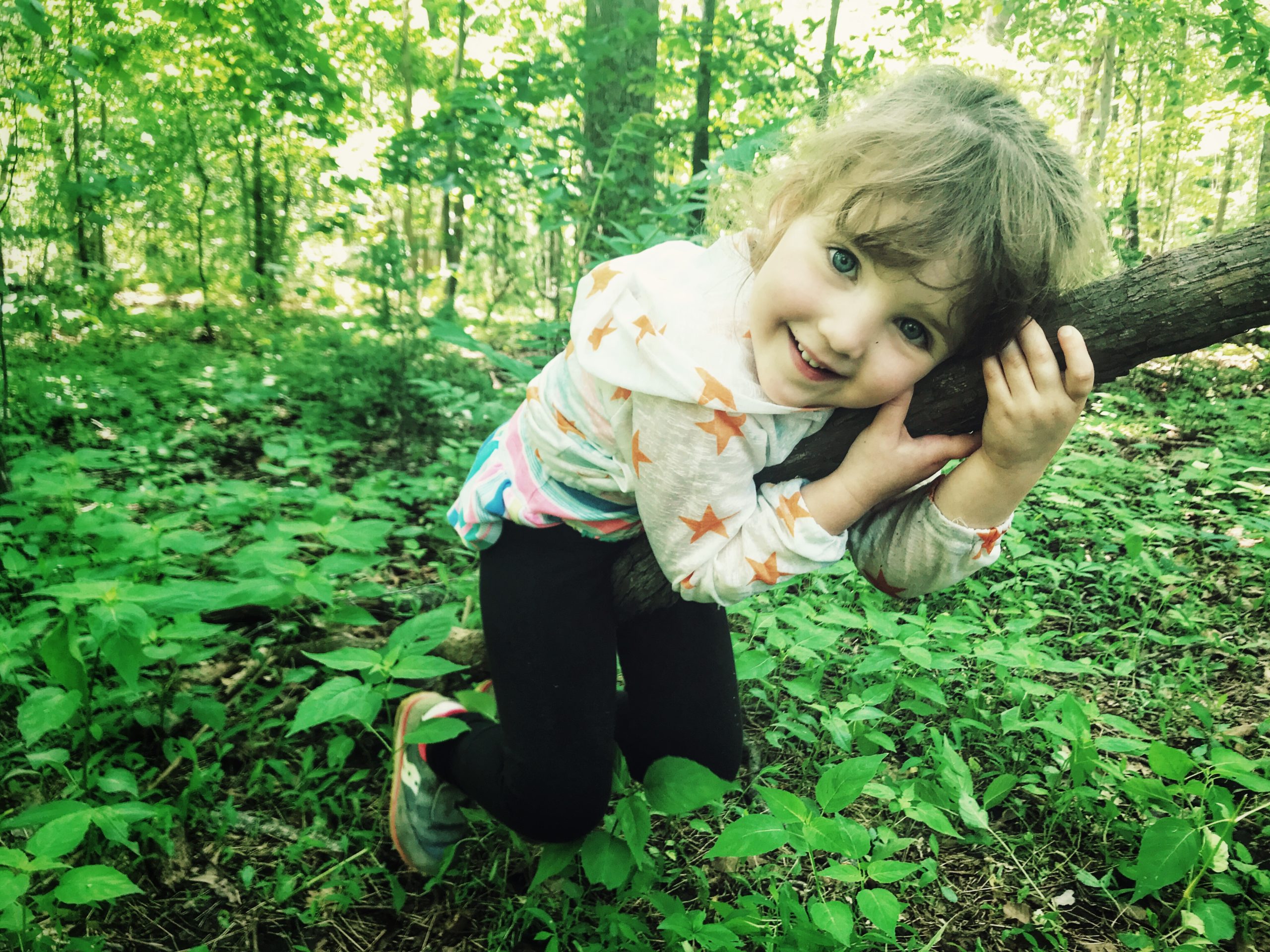 Preschool Explorers! - Trees - JugBay Wetlands Sanctuary