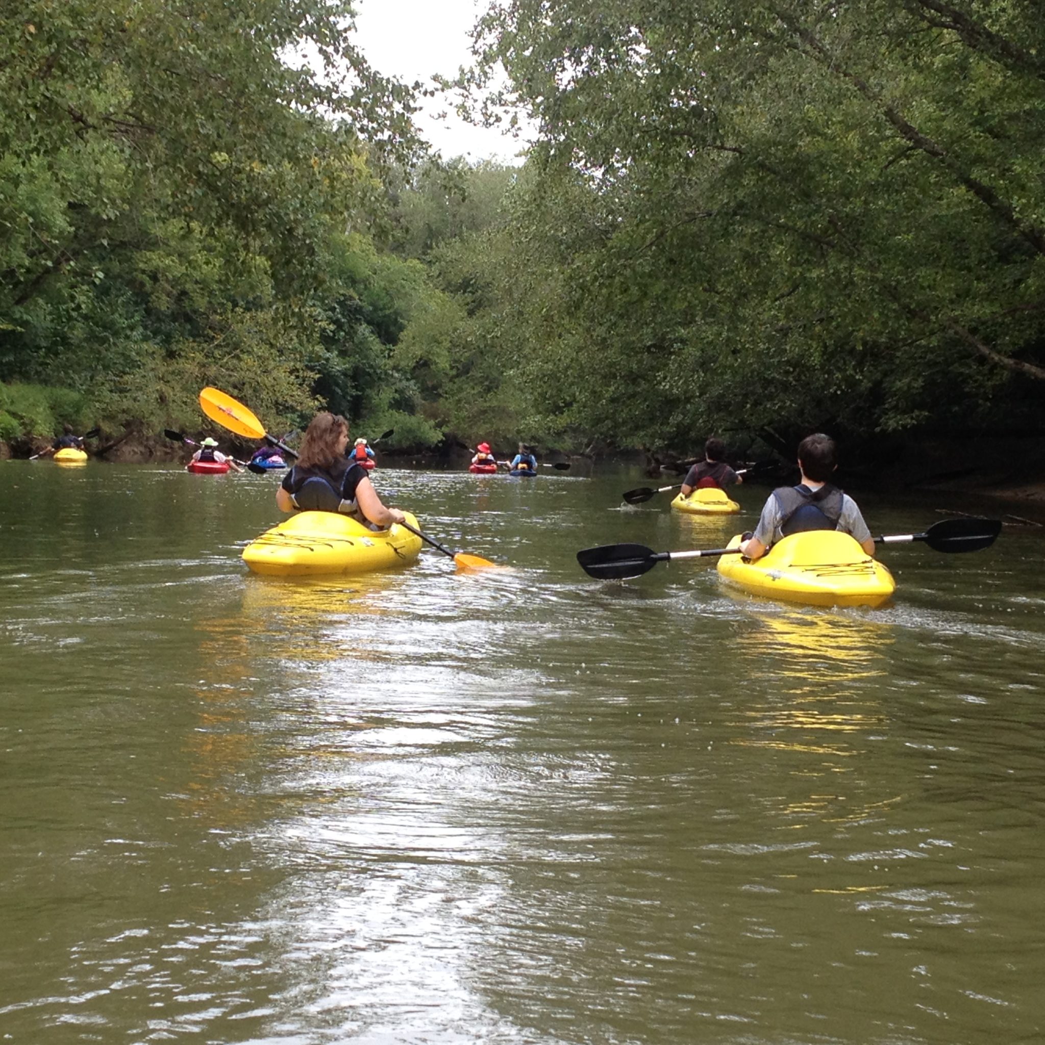 Jug Bay Paddle-A-Thon - JugBay Wetlands Sanctuary