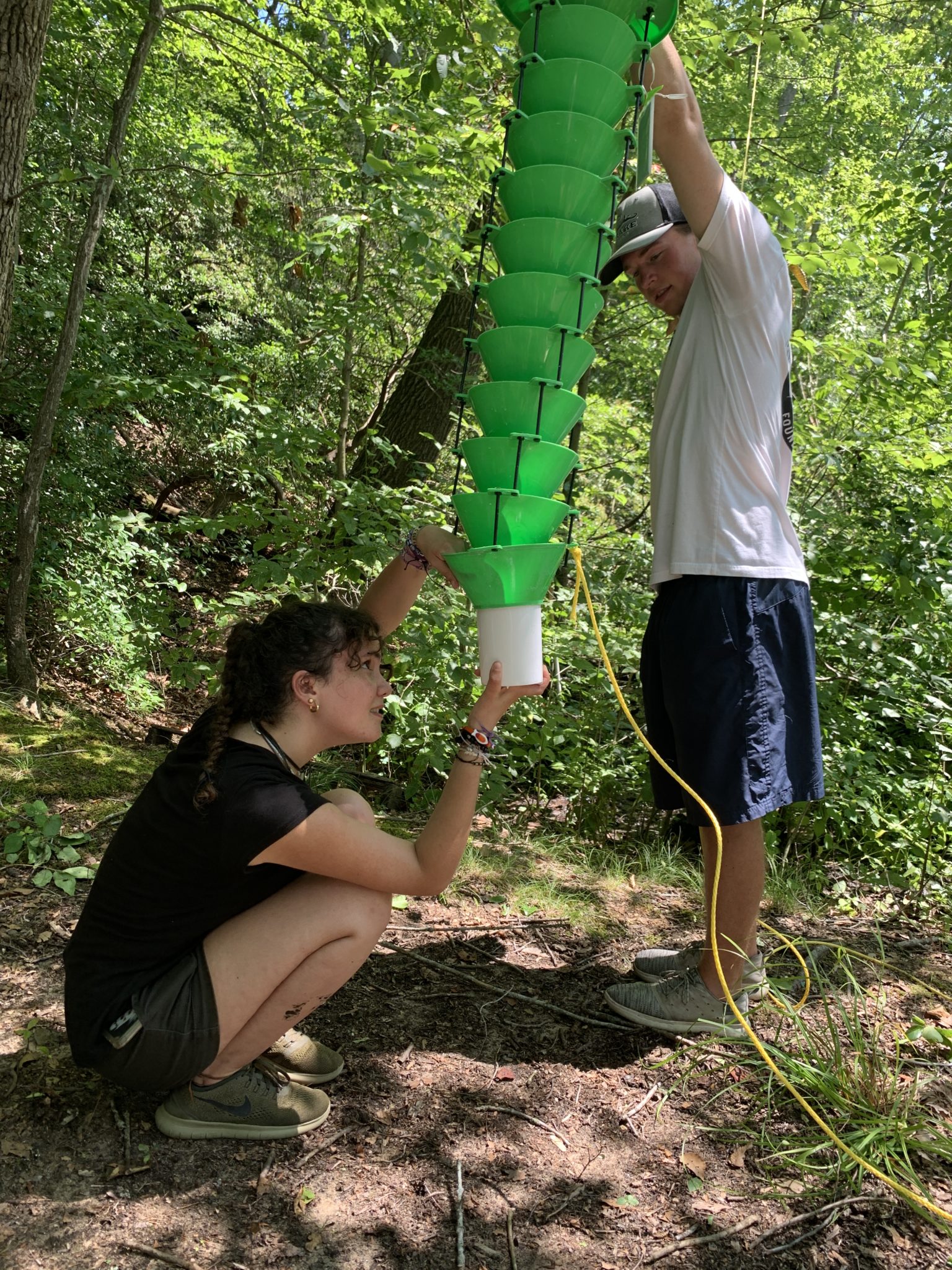 EAB Tree Canopy Citizen Science Training Workshop - JugBay Wetlands ...