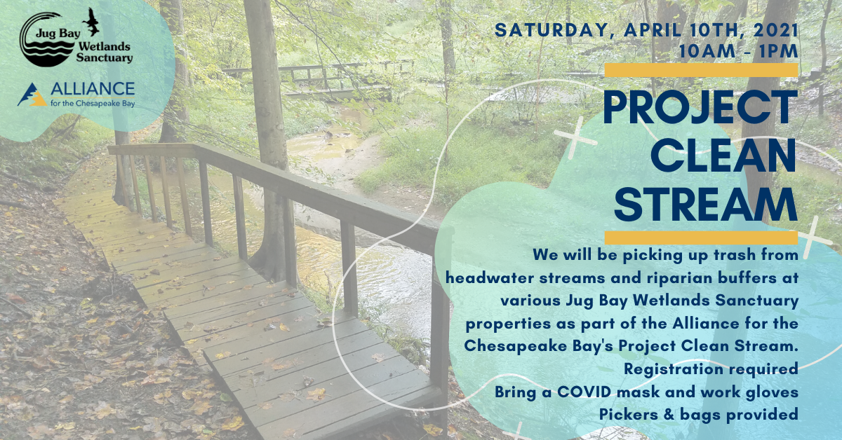 Project Clean Stream - Jug Bay Wetlands Sanctuary - JugBay Wetlands ...