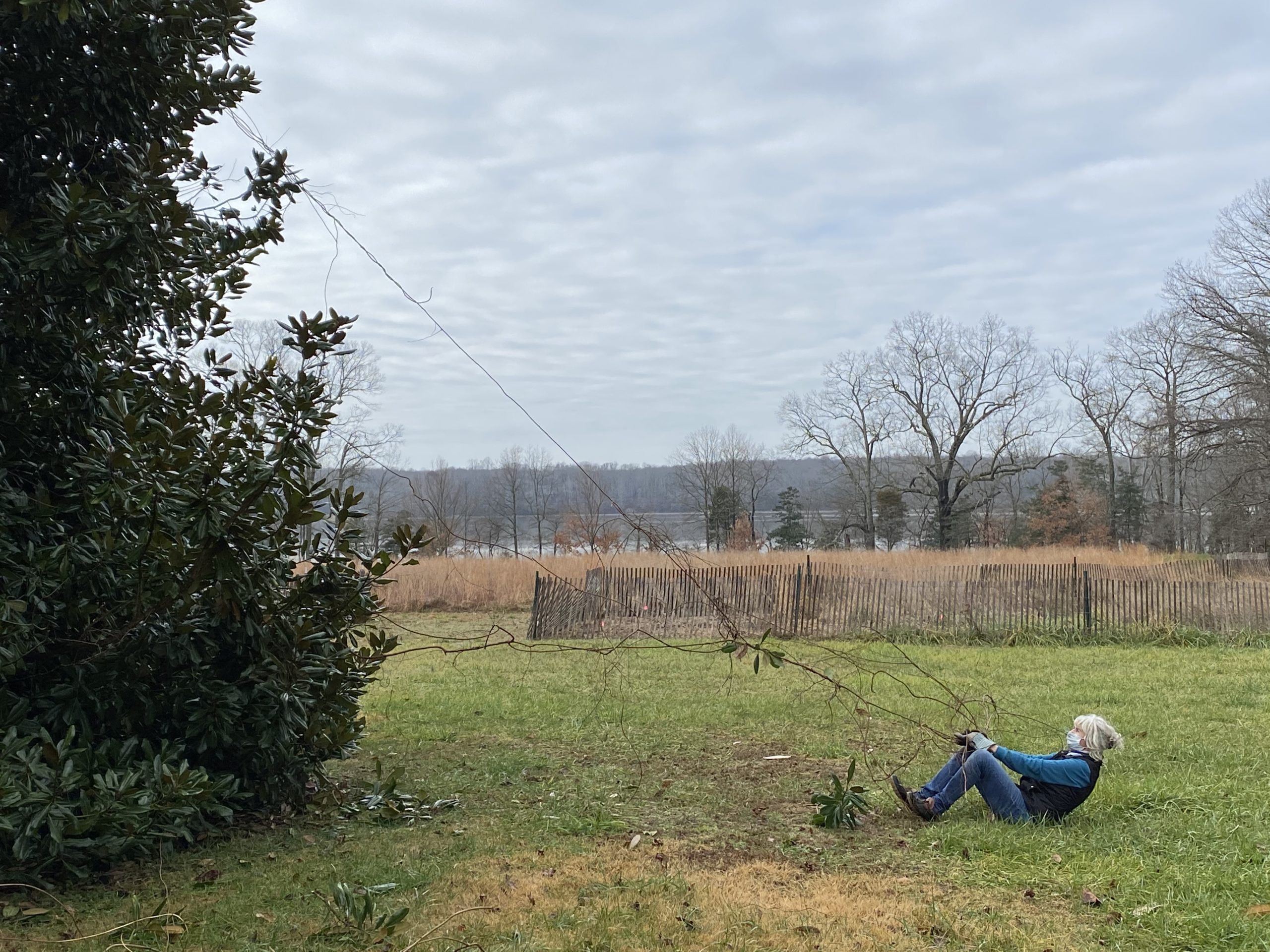 Pollinator/Preserve Wednesday - JugBay Wetlands Sanctuary