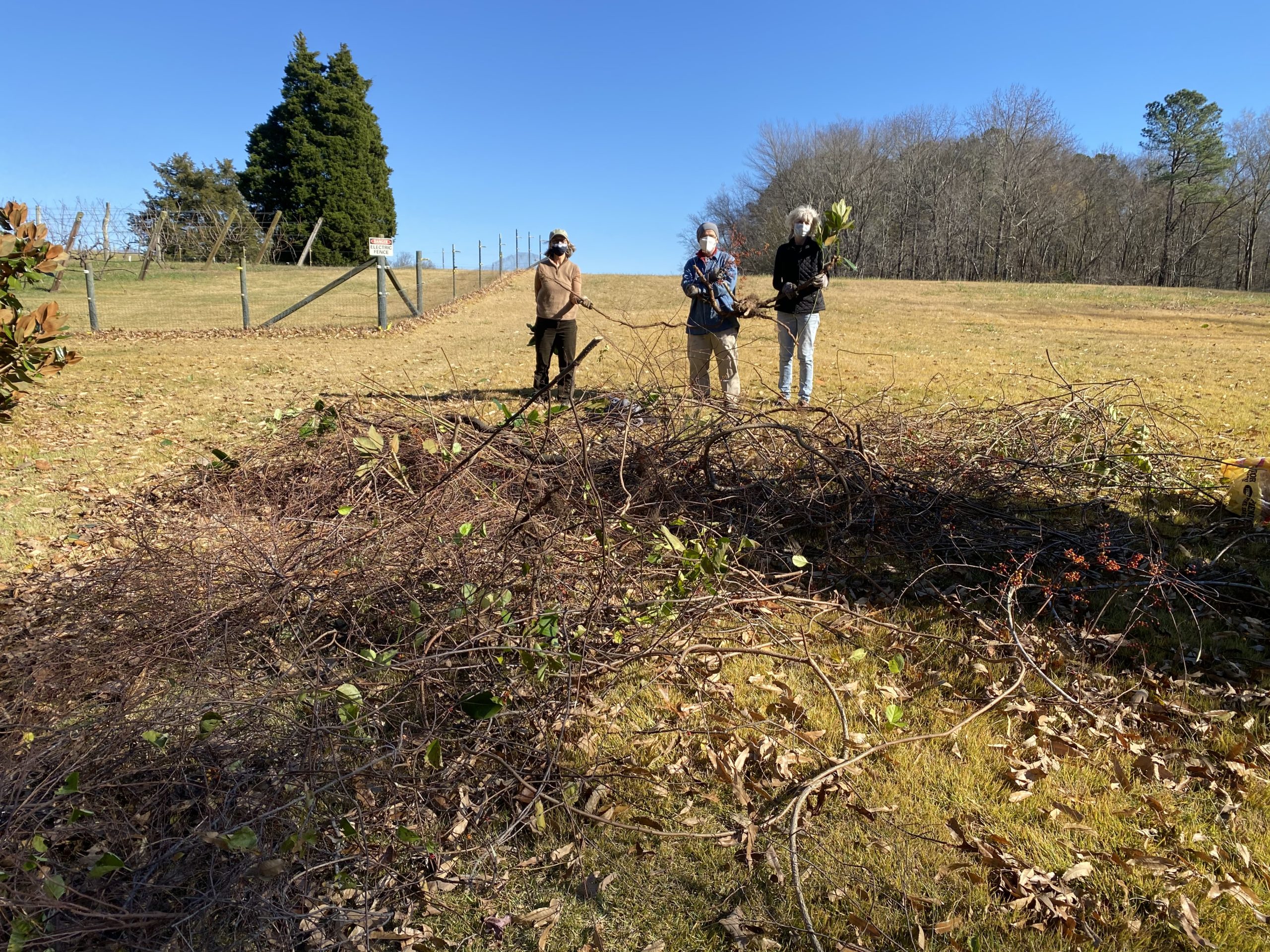 Pollinator/Preserve Wednesday - JugBay Wetlands Sanctuary