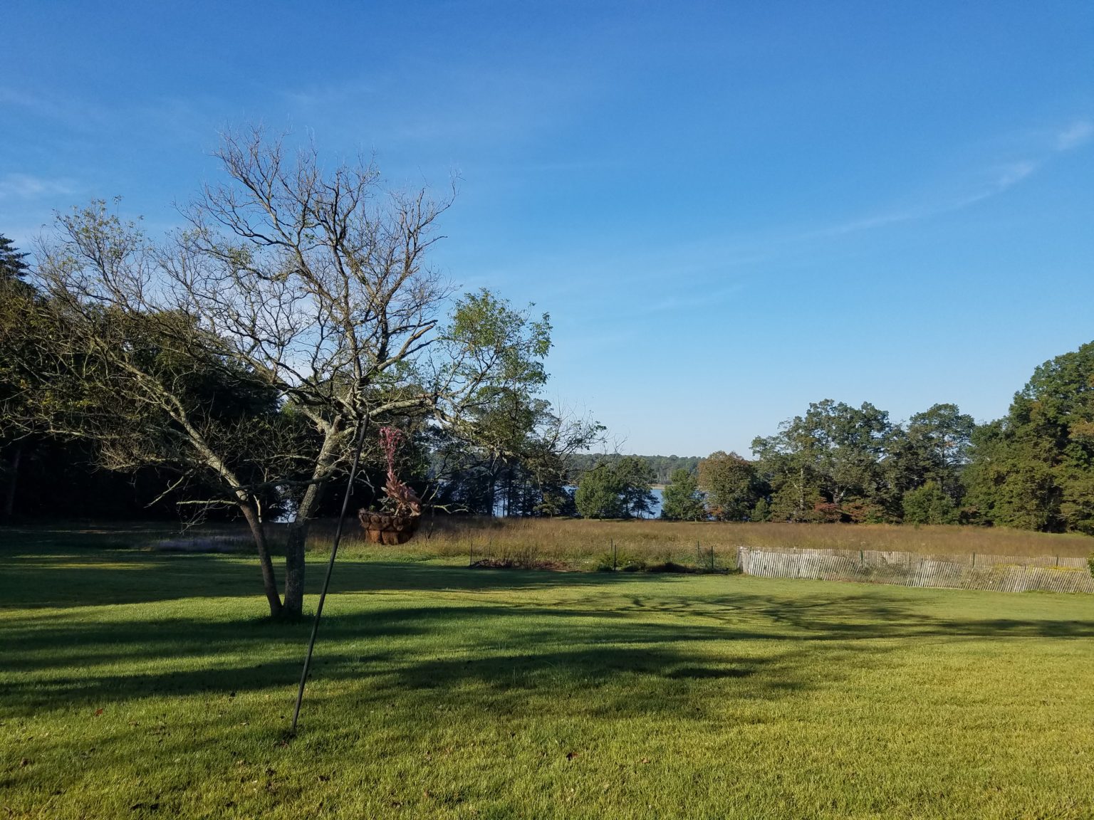 Jug Bay Wetlands Sanctuary Properties - JugBay Wetlands Sanctuary