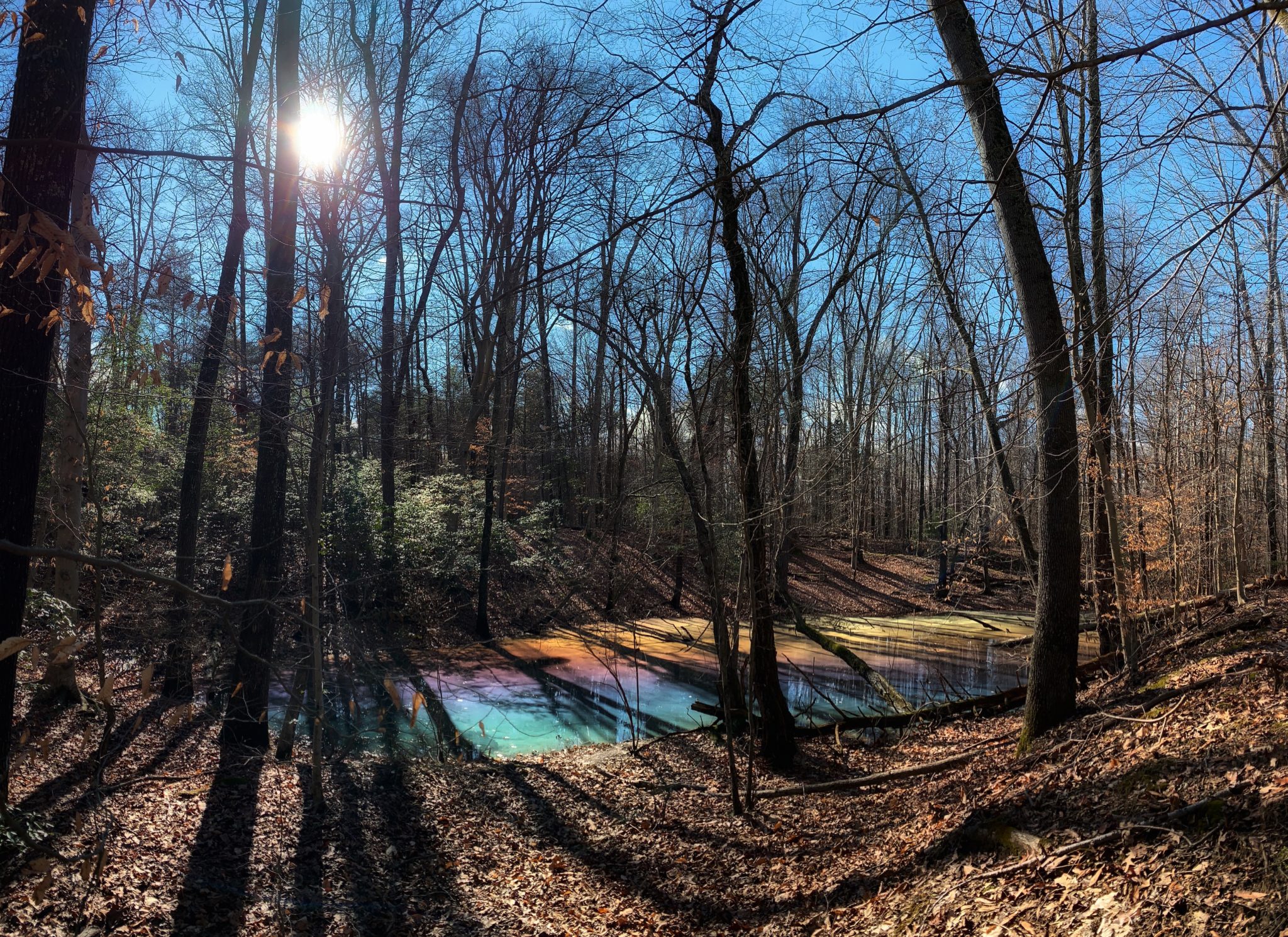 Become a Vernal Pool Monitor - JugBay Wetlands Sanctuary