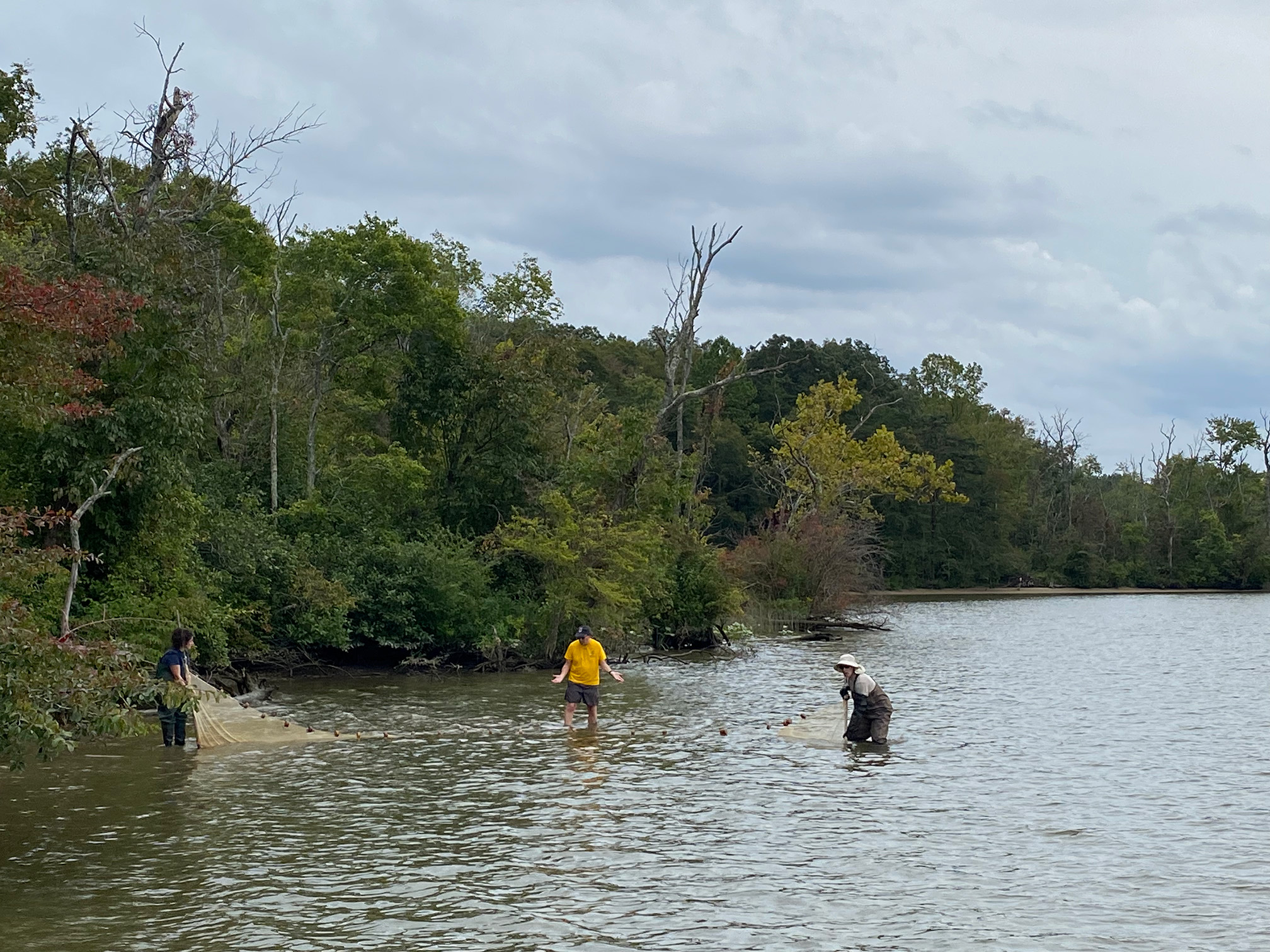 Fish of Jug Bay Annual Citizen Science/Kayak Experience for Jug Bay ...